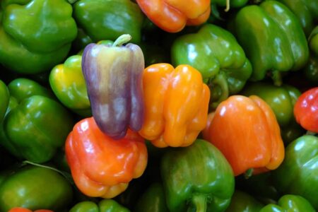 Bell Pepper Guide: Heat, Flavor, Uses – PepperScale