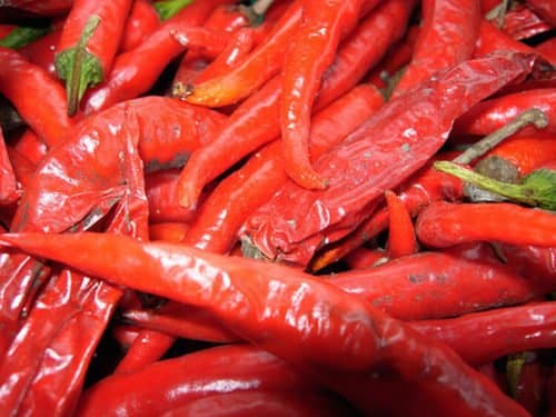 Malagueta Pepper Guide: Heat, Flavor, Uses – PepperScale
