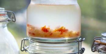 Hawaiian Chili Pepper Water – PepperScale