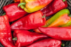 Big Peppers Guide: The Giants Of The Pepper Scale – PepperScale