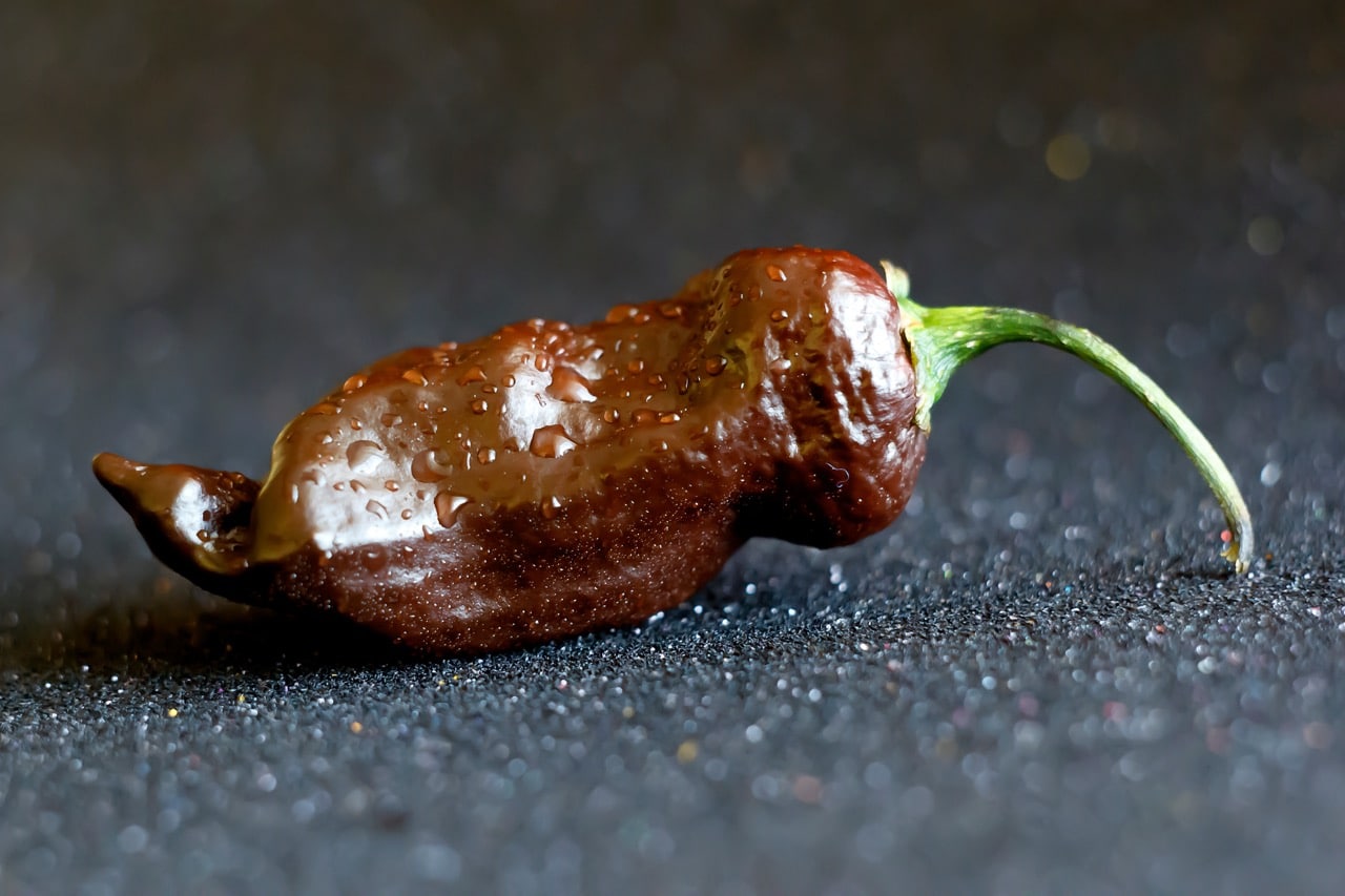 Kraken Scorpion Pepper: Heat, Flavor, Ingredient Pairings